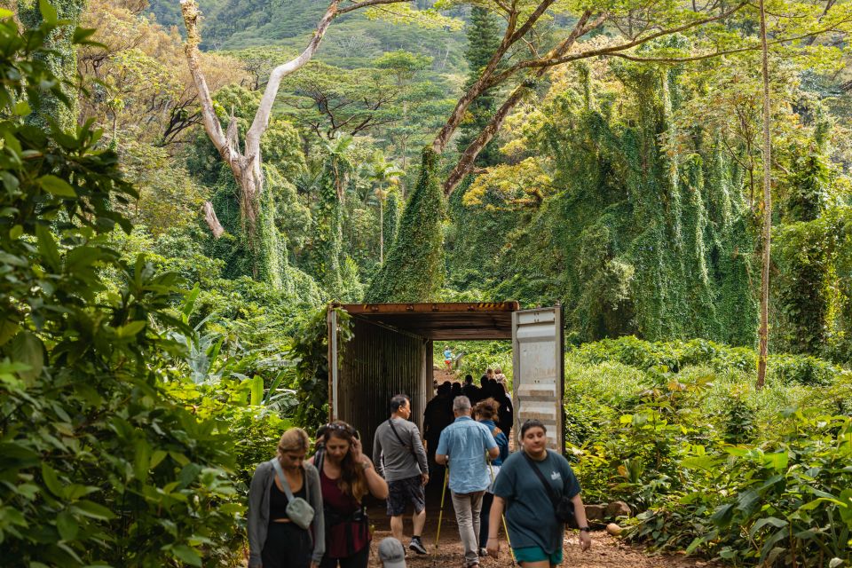 Oahu: Manoa Falls Waterfall Hike with Lunch and Transfers - A Deep Dive into the Manoa Falls Waterfall Tour