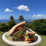 Oahu: Manoa Falls Waterfall Hike with Lunch and Transfers - What Makes This Tour Stand Out?