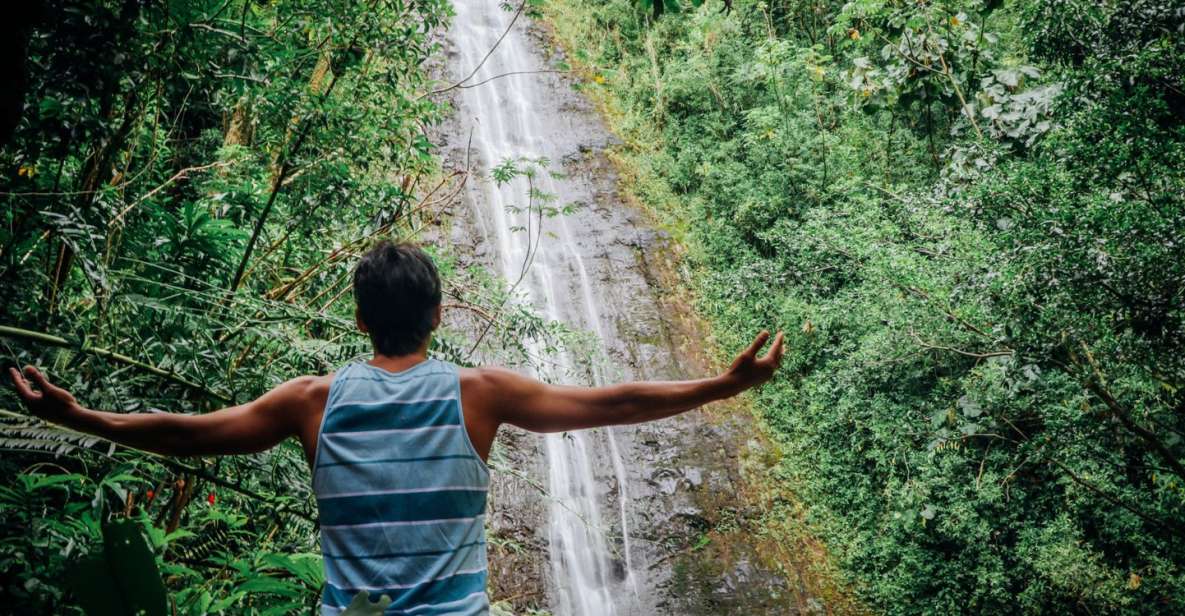 Oahu: Manoa Falls Waterfall Hike with Lunch and Transfers - Practical Tips and Considerations