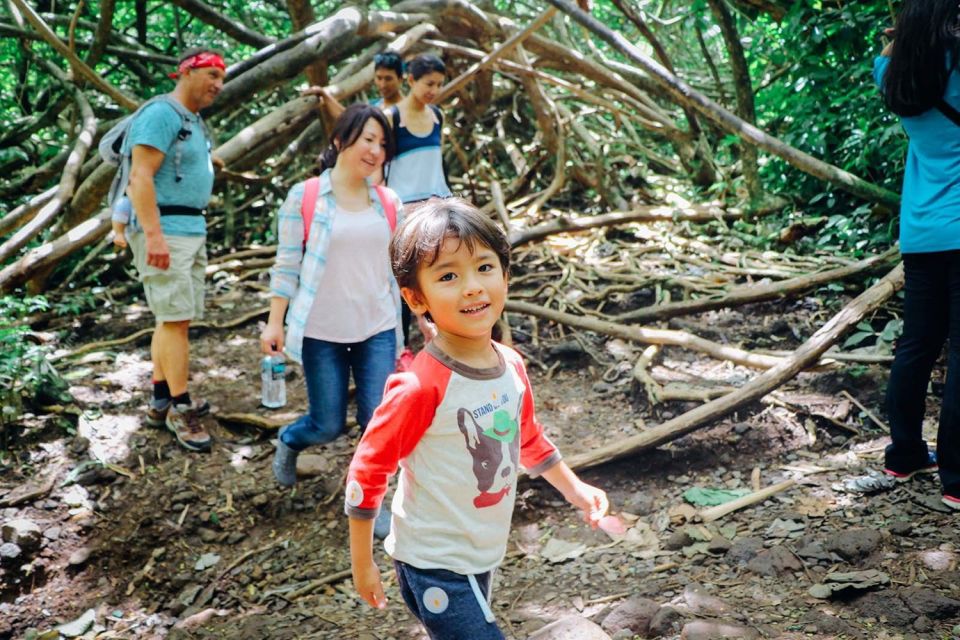 Oahu: Manoa Falls Waterfall Hike with Lunch and Transfers - Final Thoughts