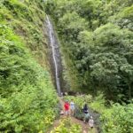 Oahu: Manoa Valley Private Hiking Trip & Waterfall - What Makes This Tour Stand Out