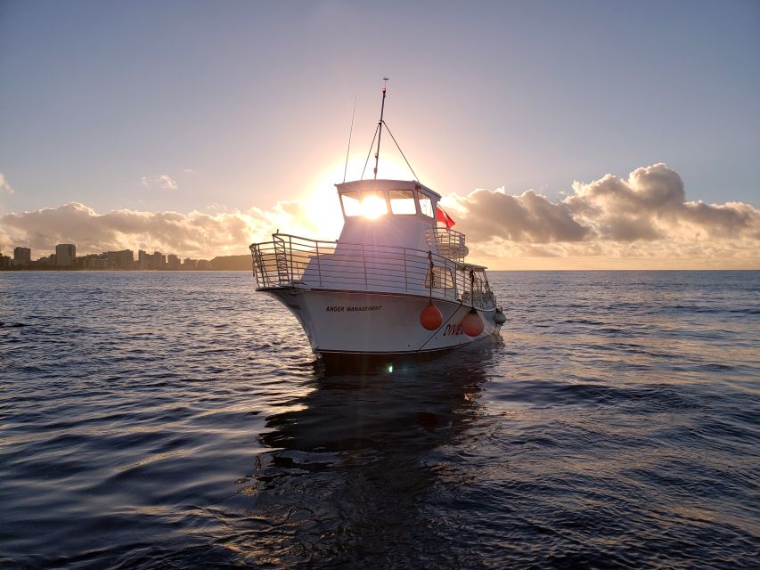 Oahu Night Dive: Adventure for Certified Divers - Key Points