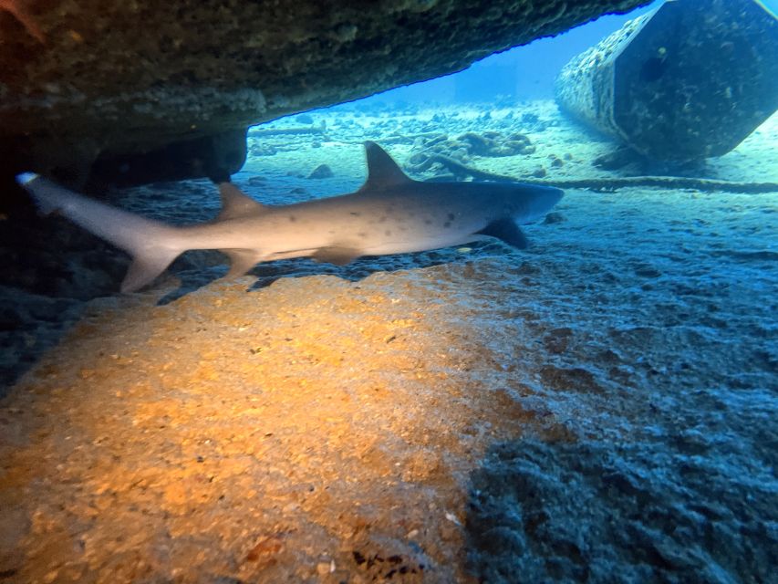 Oahu Night Dive: Adventure for Certified Divers - FAQ