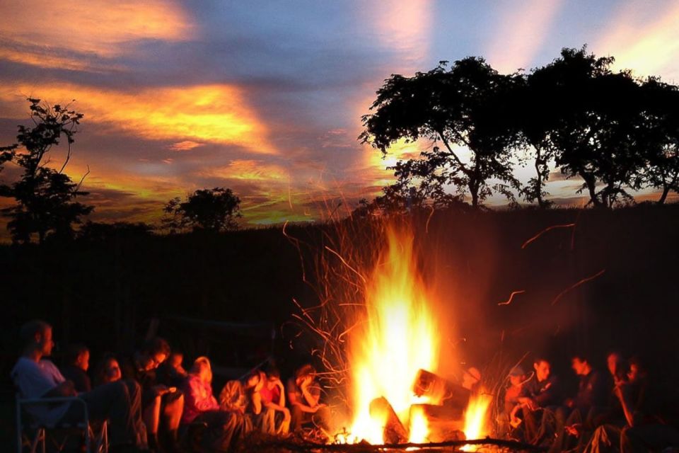 Oahu: Night Zipline Adventure (3 Lines) - What to Expect During the Experience