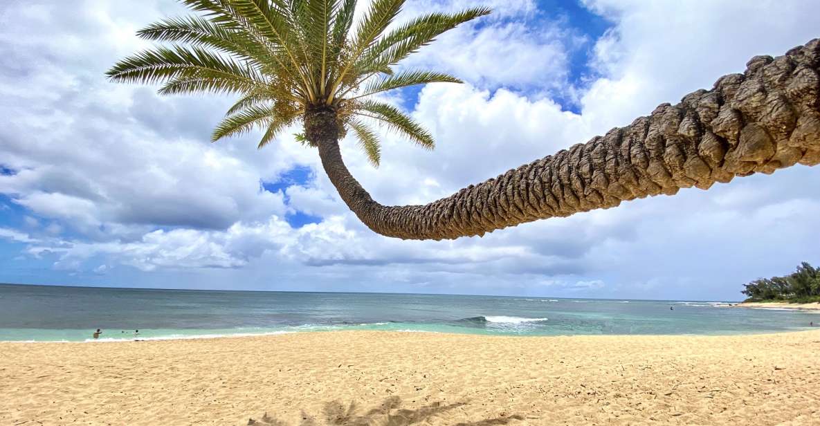 Oahu: North Shore Experience and Dole Plantation - In-Depth Look at the Tour Experience