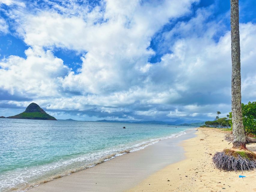 Oahu: North Shore Experience and Dole Plantation - Final Thoughts