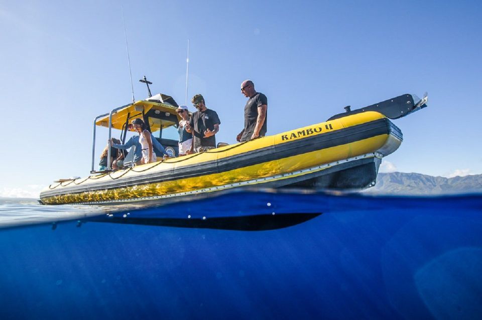 Oahu: North Shore Haleiwa: Private Boat Charter - Why This Tour Works for You