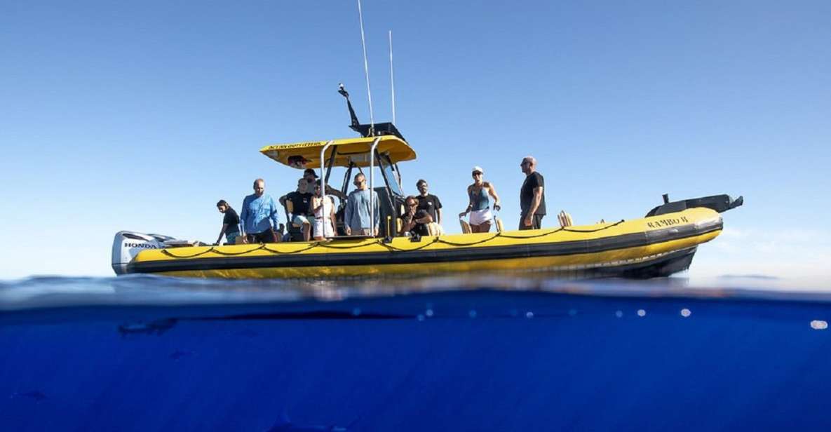 Oahu: North Shore Marine Life Tour from Haleiwa - Final Thoughts