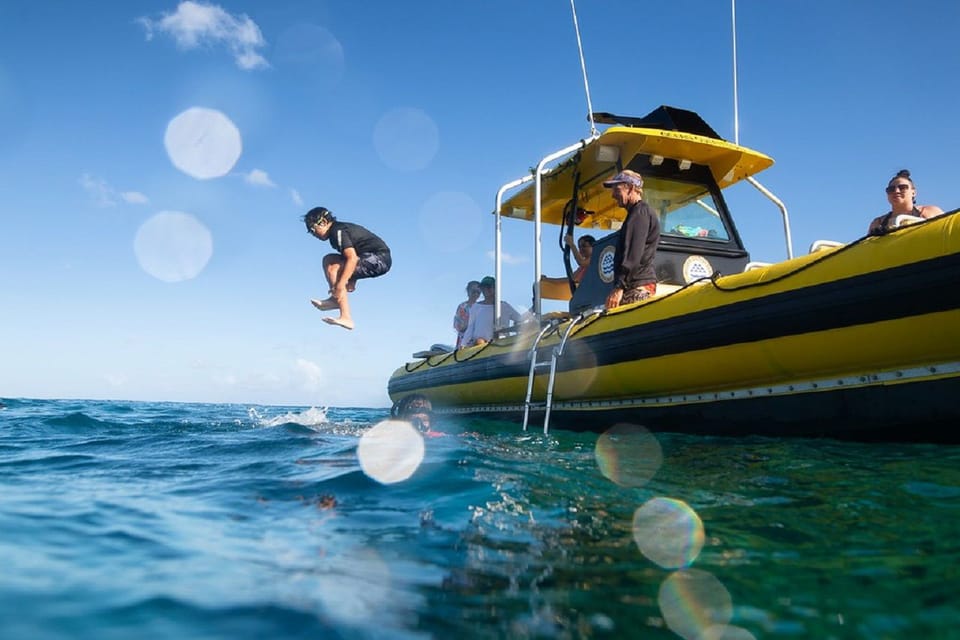 Oahu: North Shore Snorkeling Tour from Haleiwa - The Experience in Detail