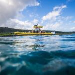 Oahu: North Shore Snorkeling Tour from Haleiwa - Why This Tour Offers Great Value