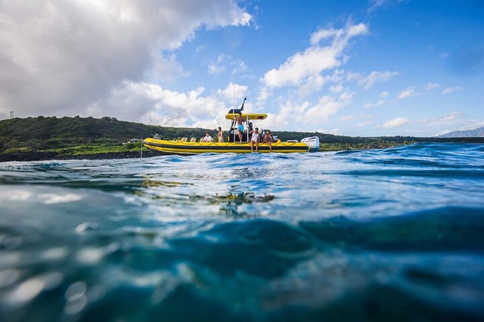 Oahu: North Shore Snorkeling Tour from Haleiwa - Why This Tour Offers Great Value