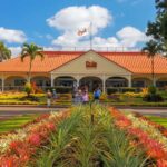 Oahu: Oahu Ultimate Grand Circle Island Tour - Value for Money and Practical Considerations