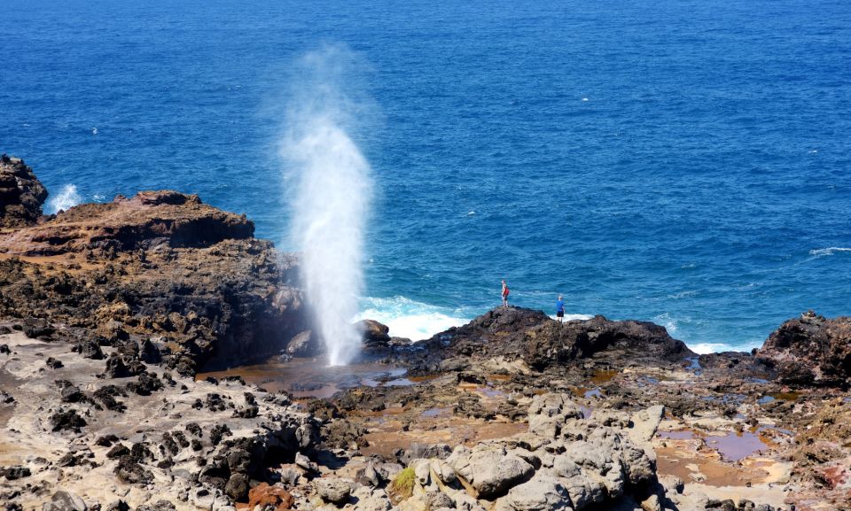 Oahu: Oahu Ultimate Grand Circle Island Tour - Final Thoughts