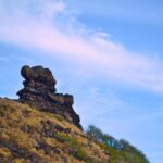 Oahu Off the Beaten Path Small-Group Tour from Honolulu - Authentic Insights from Reviewers