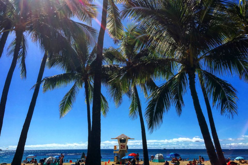 Oahu: Pearl Harbor and Honolulu City Tour - Introduction
