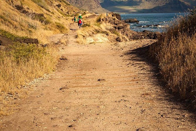 Oahu Personalized Private Tour - Who is This Tour Best For?