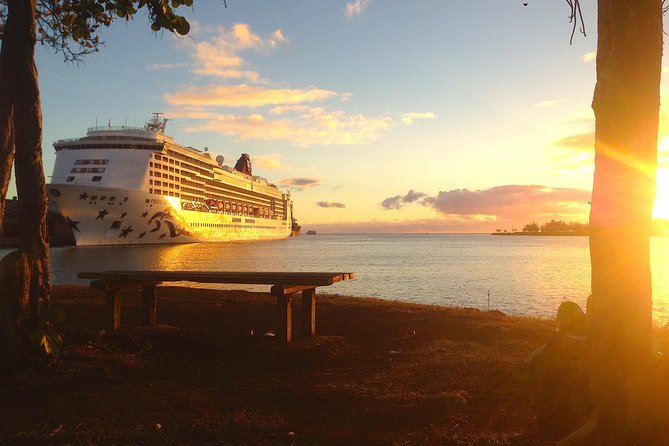 Oahu Private First, Last and Transfer Day Tours with Luggage - What Makes This Tour Stand Out?