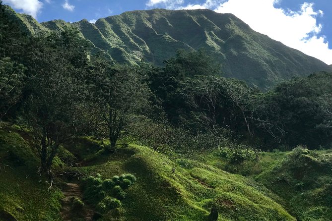 Oahu Private First, Last and Transfer Day Tours with Luggage - Possible Considerations