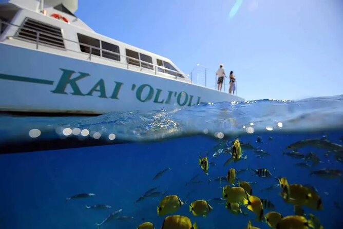Oahu Private Sunset Snorkel and Dolphin Watch with Hot Buffet - Oahu Private Sunset Snorkel and Dolphin Watch with Hot Buffet: An Authentic Aloha Experience