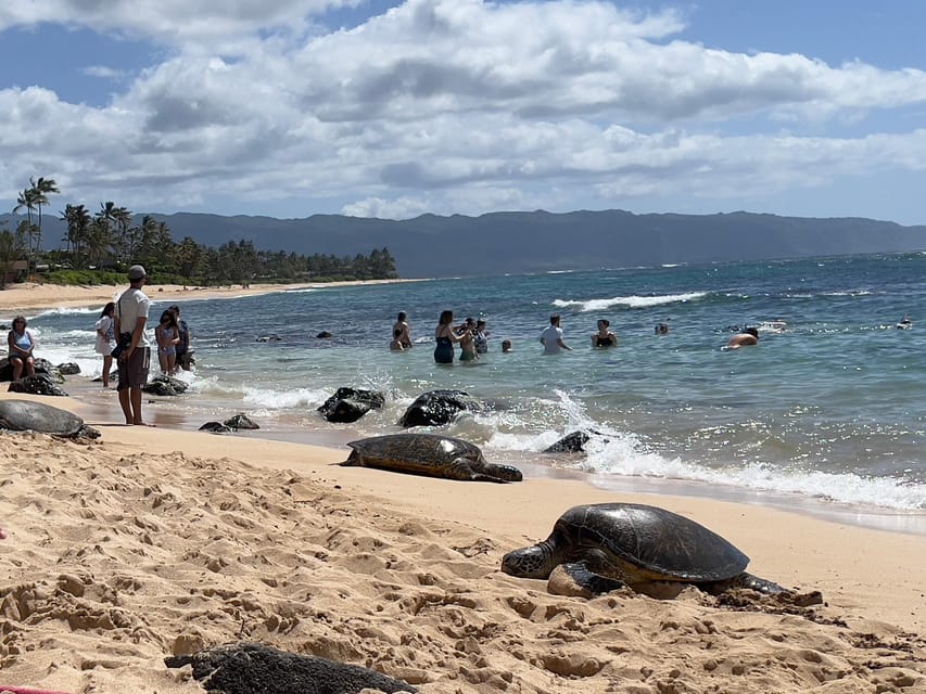 Oahu: Private Tour-Circle Island-Customizable - What Makes This Tour Stand Out?