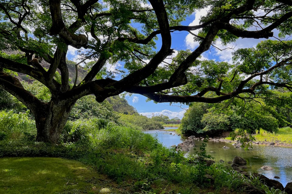 Oahu: Private Tour-North Shore feat. Waimea Falls - Frequently Asked Questions