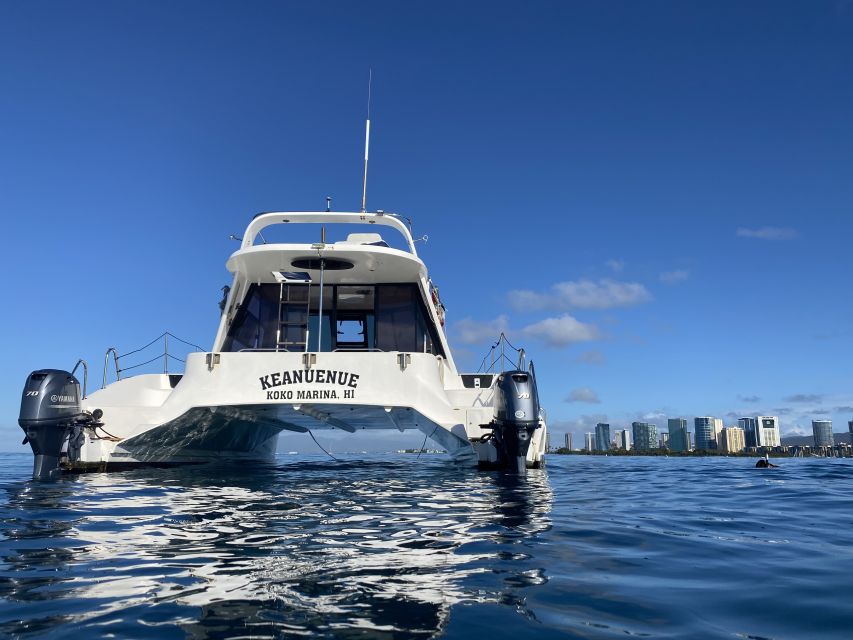 Oahu: Private Turtle Snorkeling with Customizable Itinerary - Final Thoughts: Is It Worth It?