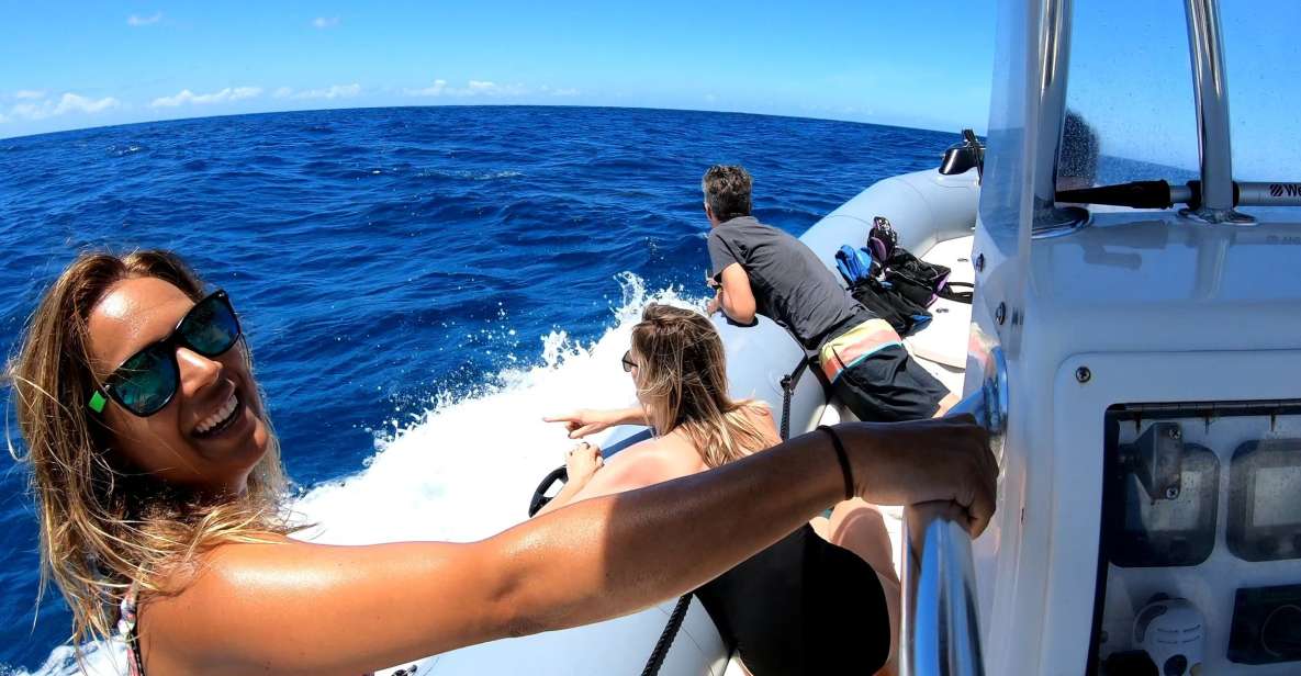 Oahu: Private Whale Watching Adventure - The Experience and Itinerary Breakdown
