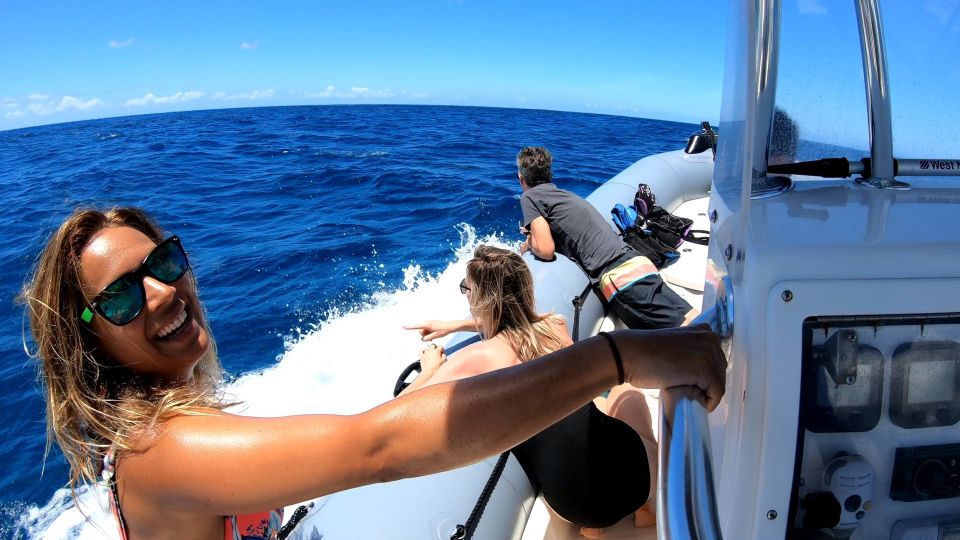 Oahu: Private Whale Watching Adventure - Practical Tips for Booking and Enjoying