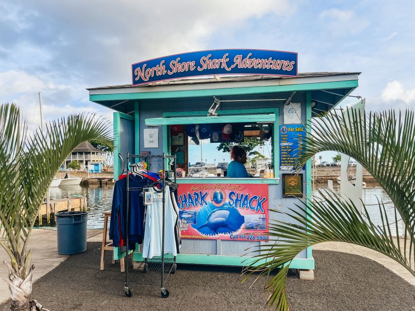 Oahu: Shark Cage Dive on the North Shore - What Makes this Shark Cage Experience Special?