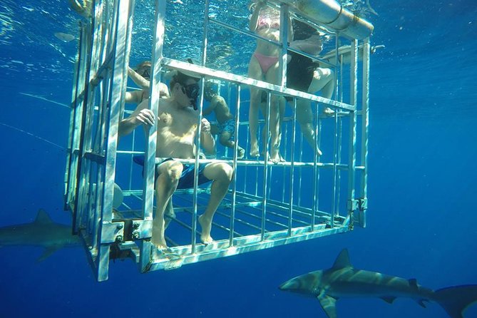 Oahu Shark Dive - The Safety Briefing and Getting Ready