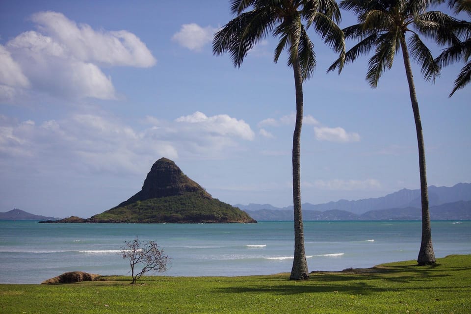 Oahu Sights and Shopping Slingshot Tour - Key Points