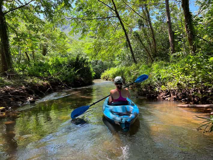 Oahu: Single & Double Kayak 3-Hour River Rental - The Experience: What to Expect from Your Kayaking Adventure