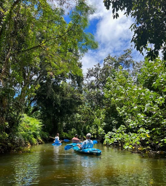 Oahu: Single & Double Kayak 3-Hour River Rental - Authentic Reviews and Insights