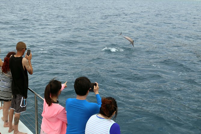 Oahu: Snorkeling and Dolphin Watch Cruise With Hawaiian Buffet - FAQs