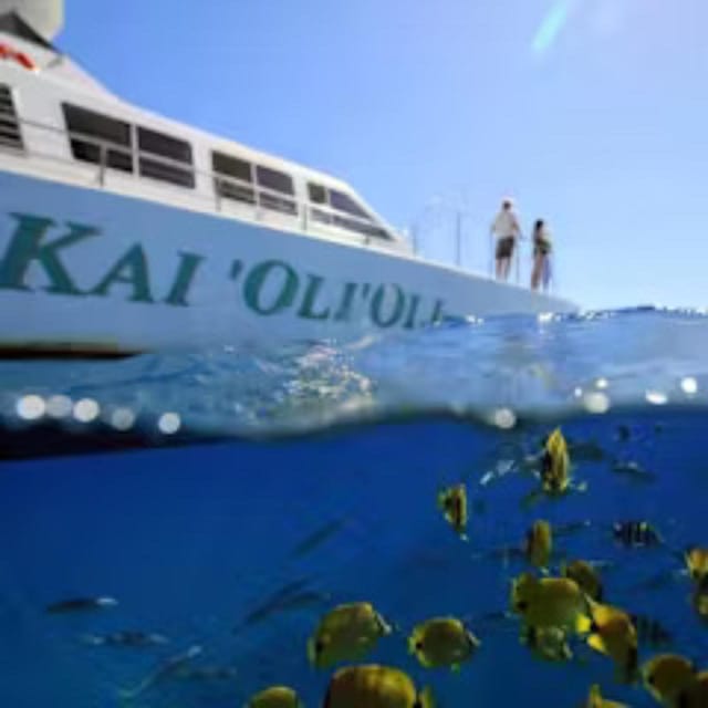 Oahu: Snorkeling & Dolphin Watch Cruise with Hawaiian Buffet - Oahu: Snorkeling & Dolphin Watch Cruise with Hawaiian Buffet