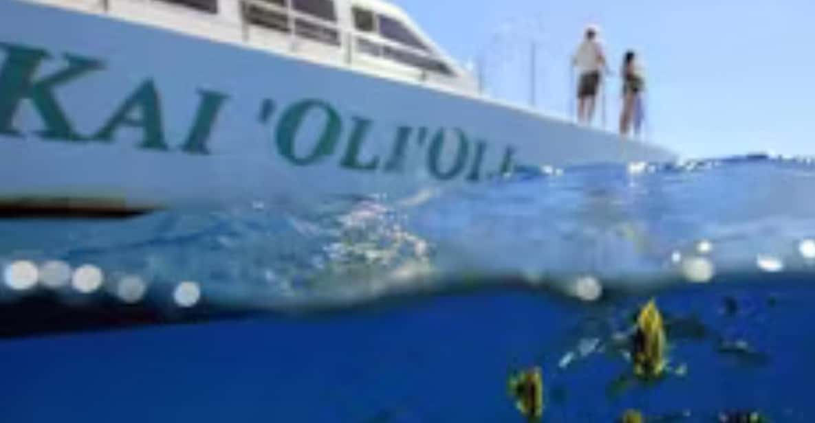 Oahu: Snorkeling & Dolphin Watch Cruise with Hawaiian Buffet - Key Points