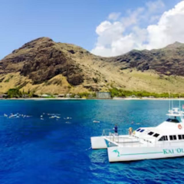 Oahu: Snorkeling & Dolphin Watch Cruise with Hawaiian Buffet - A Deep Dive Into the Experience