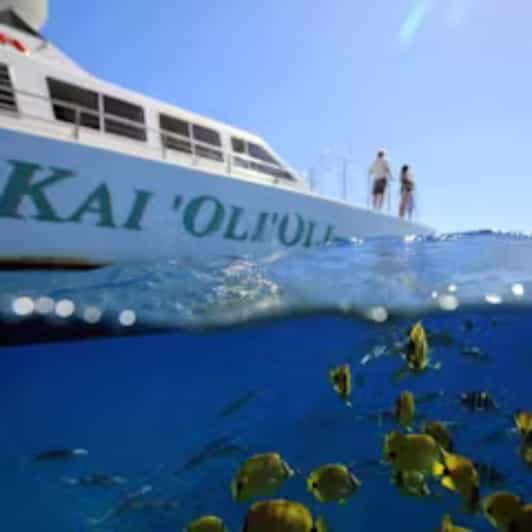 Oahu: Snorkeling & Dolphin Watch Cruise with Hawaiian Buffet - Who Should Consider This Tour?