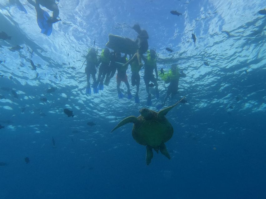 Oahu Snorkeling with Turtles, Water Scooter, Paddleboard - The Itinerary and What You Can Expect