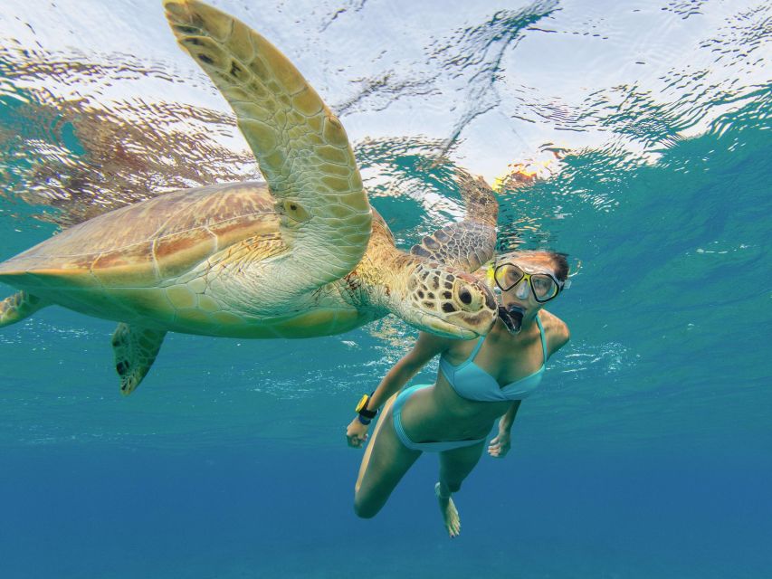 Oahu Snorkeling with Turtles, Water Scooter, Paddleboard - Who Will Love This Tour?