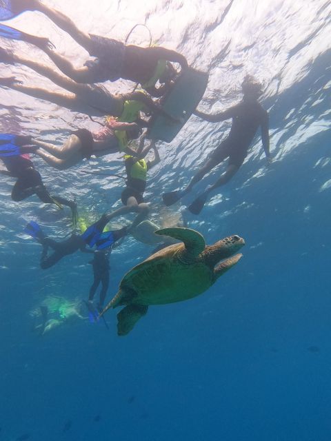 Oahu Snorkeling with Turtles, Water Scooter, Paddleboard - FAQs