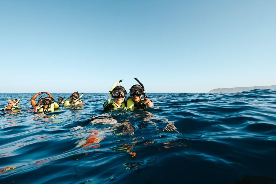 Oahu: Speedboat Snorkeling Adventure and Wild Dolphin Swim - The Sum Up