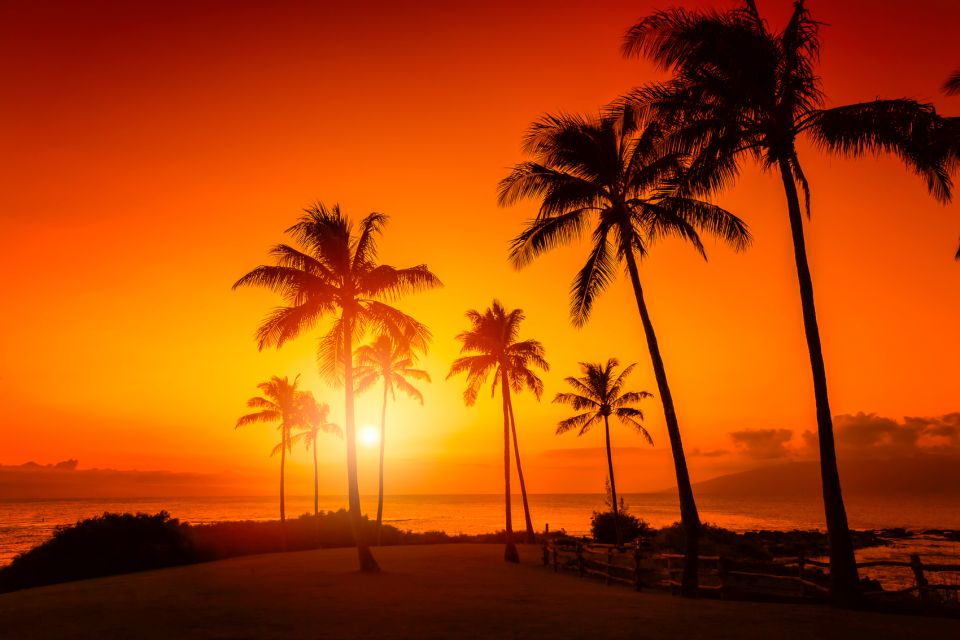Oahu: Sunset Cruise of West Oahu with Drinks and Appetizers - Final Thoughts
