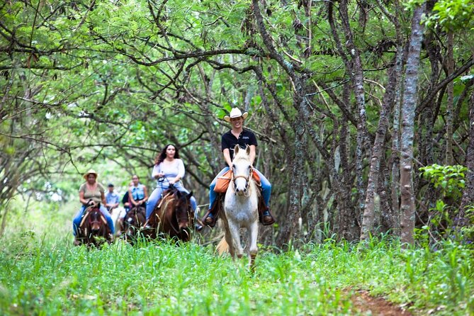 Oahu Sunset Horseback Ride - Why This Tour Offers Great Value