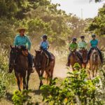 Oahu Sunset Horseback Ride - Practical Details and Tips