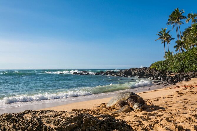 Oahu Top 13 Things to See Slingshot Aloha Tour - Key Points