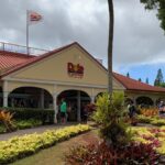 Oahu Tour - Pearl Harbor, Dole Pineapple & Oahu Tour - Final Thoughts