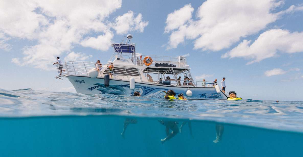 Oahu: Turtle Canyon Snorkeling & Hula Dance - Key Points