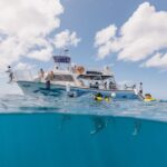 Oahu: Turtle Canyon Snorkeling & Hula Dance - What Makes This Tour Special?