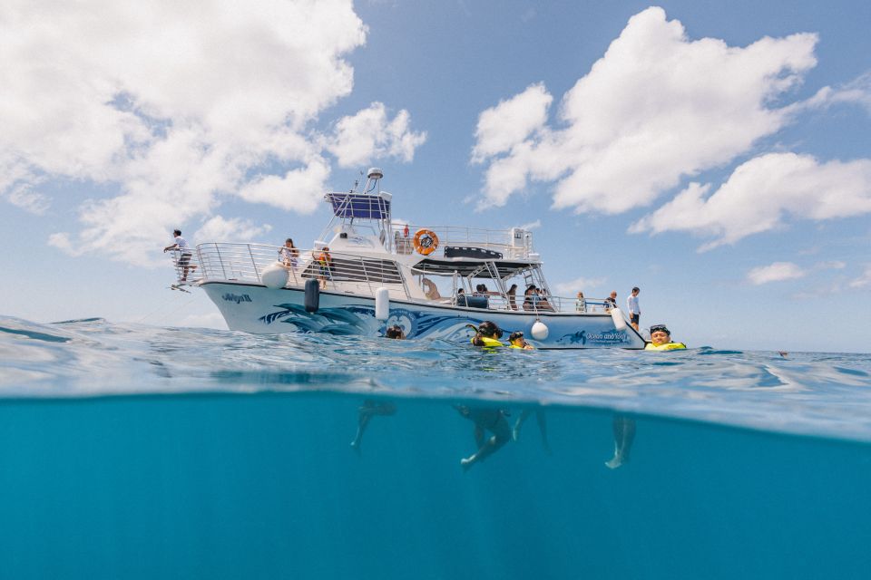 Oahu: Turtle Canyon Snorkeling & Hula Dance - What Makes This Tour Special?